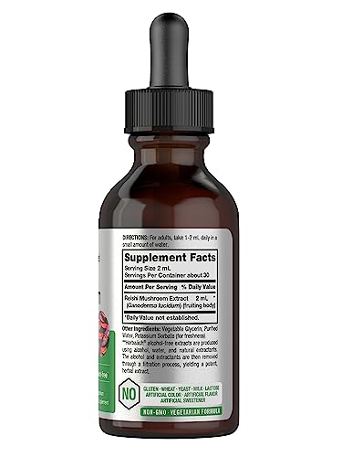 Vegetarian Reishi mushroom supplement