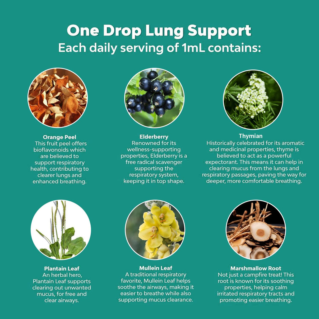 vegetarian tincture drops for wellness