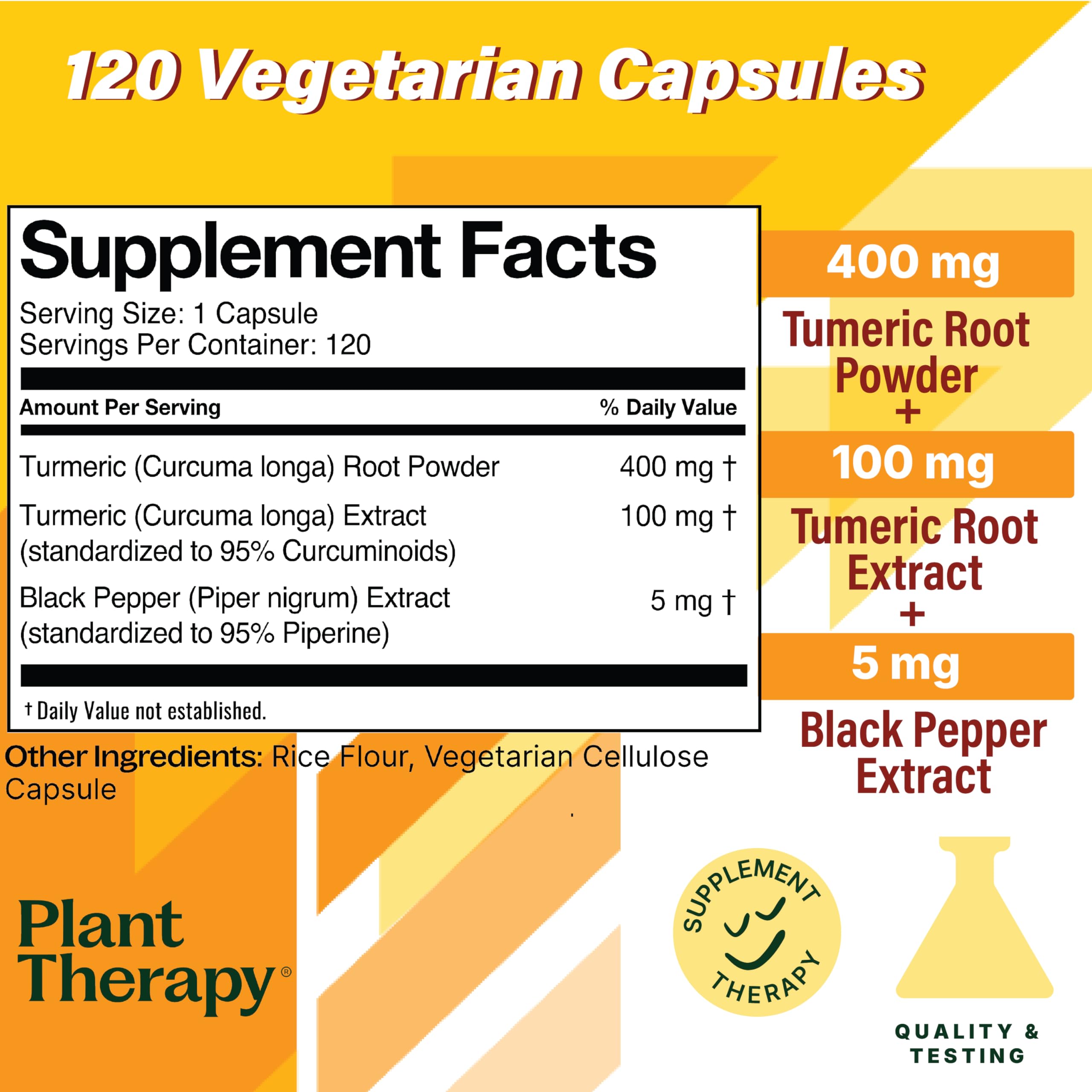 vegetarian turmeric supplement for wellness