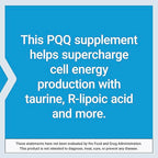 vegetarian vitamin b complex supplement