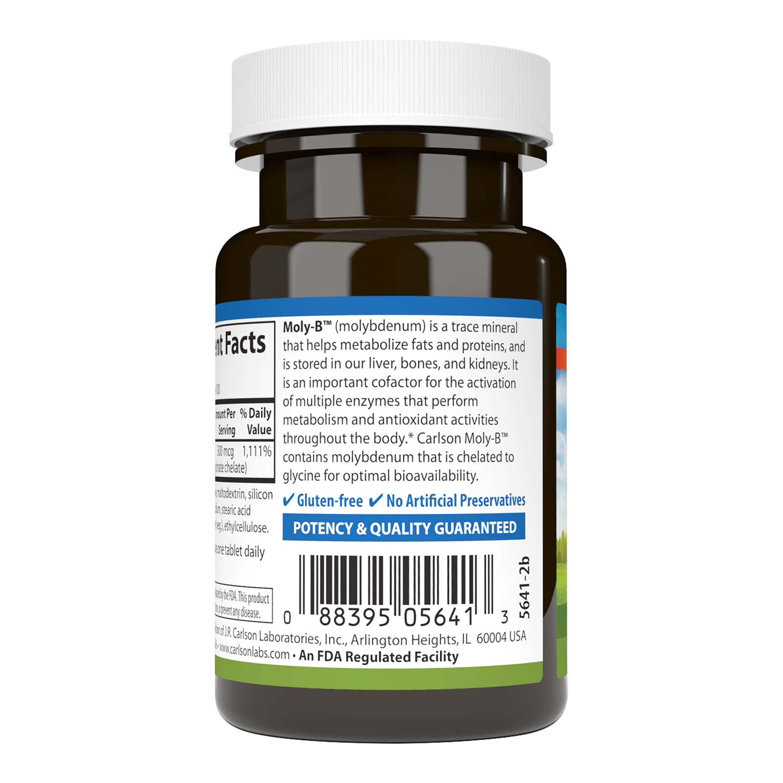 Vegetarian Vitamin B12 supplement