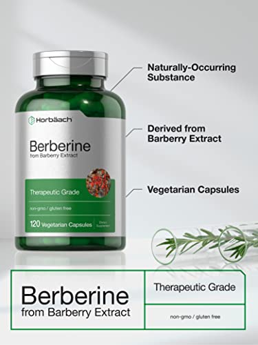 vegetarian vitamins and minerals for energy