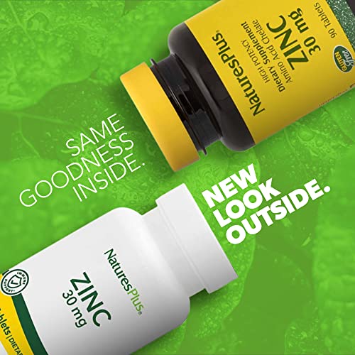vegetarian zinc for health