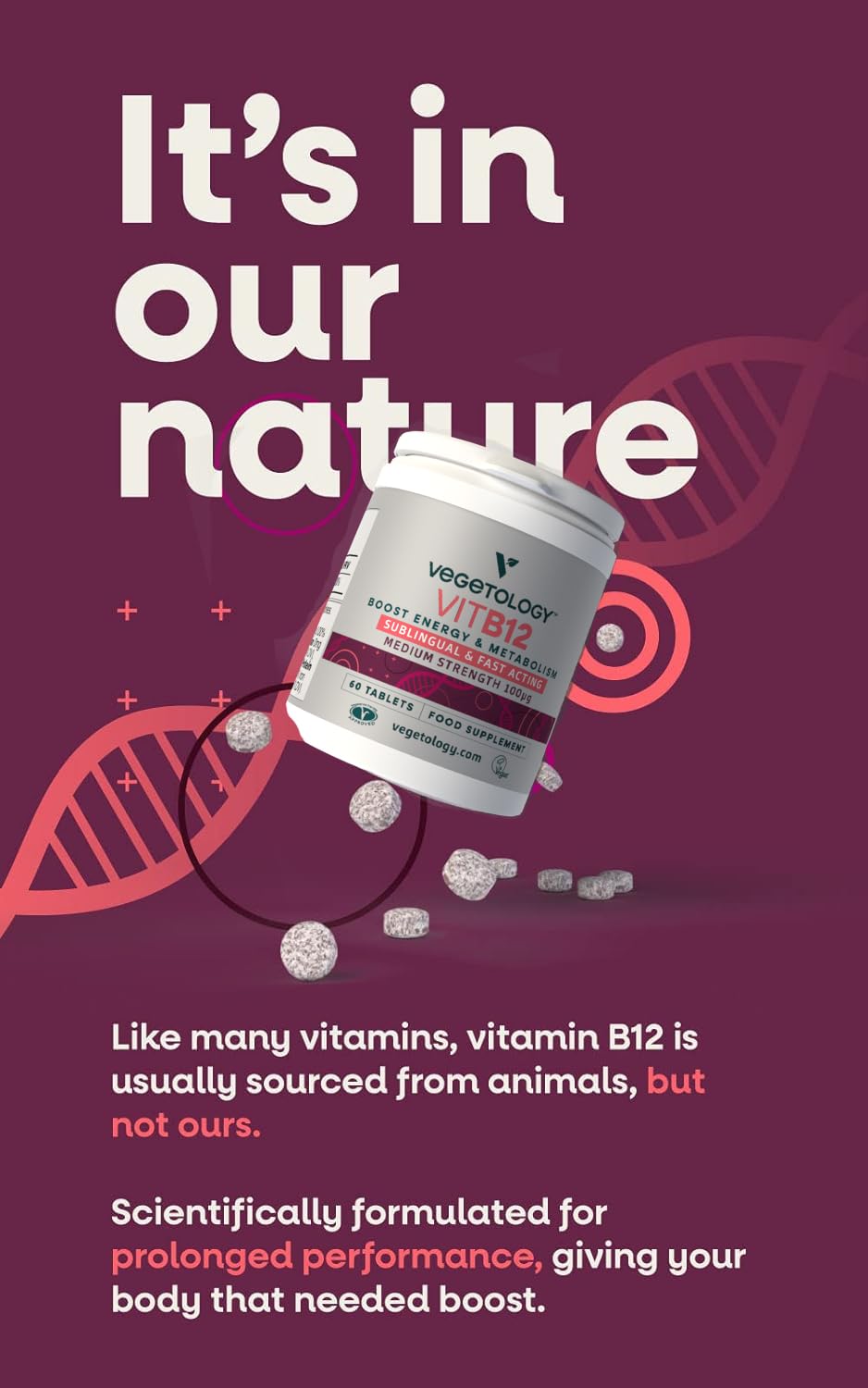 VEGETOLOGY vitamin B12 methylcobalamin tablets