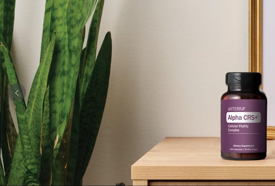 veggie caps multivitamin for men