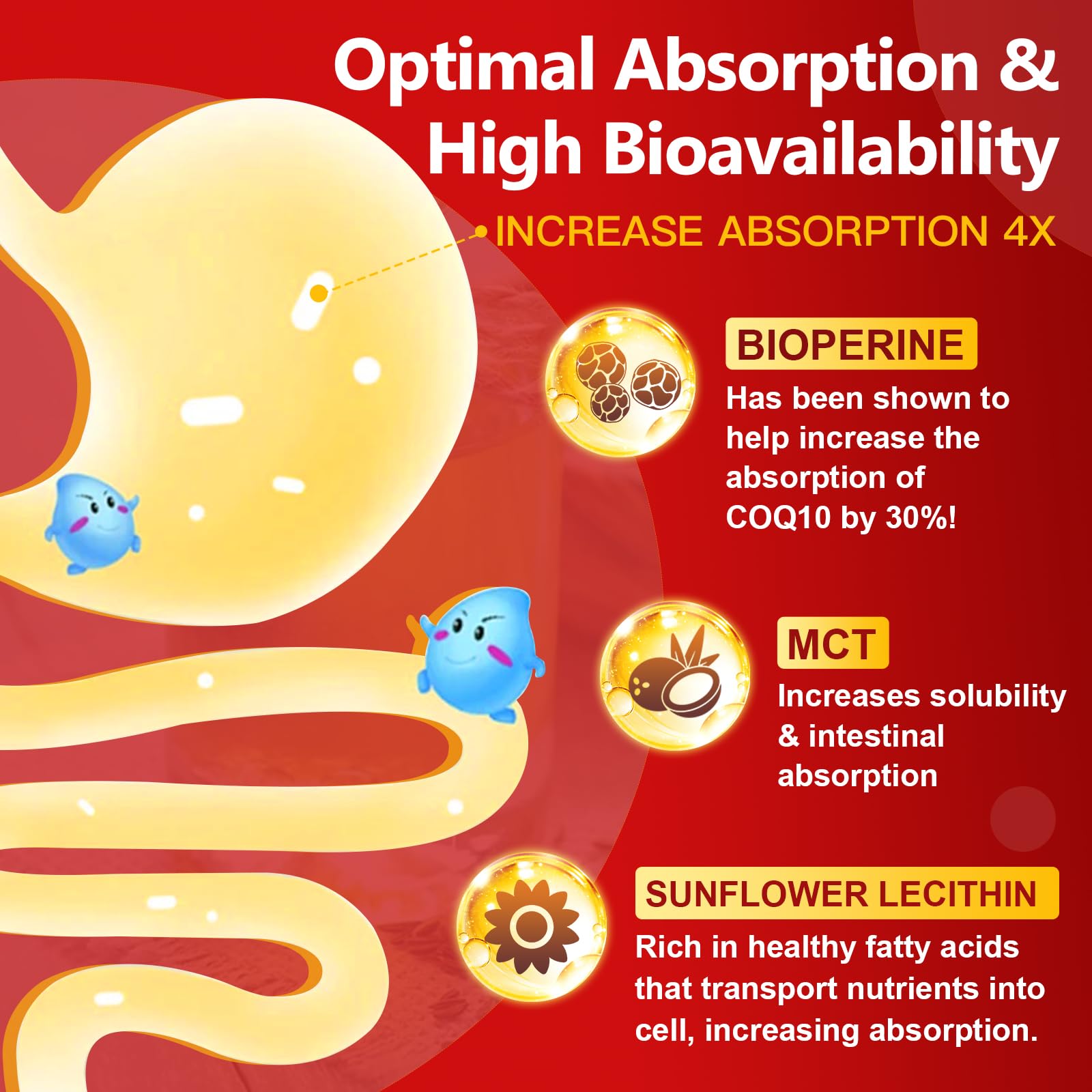 veggie capsules for daily wellness
