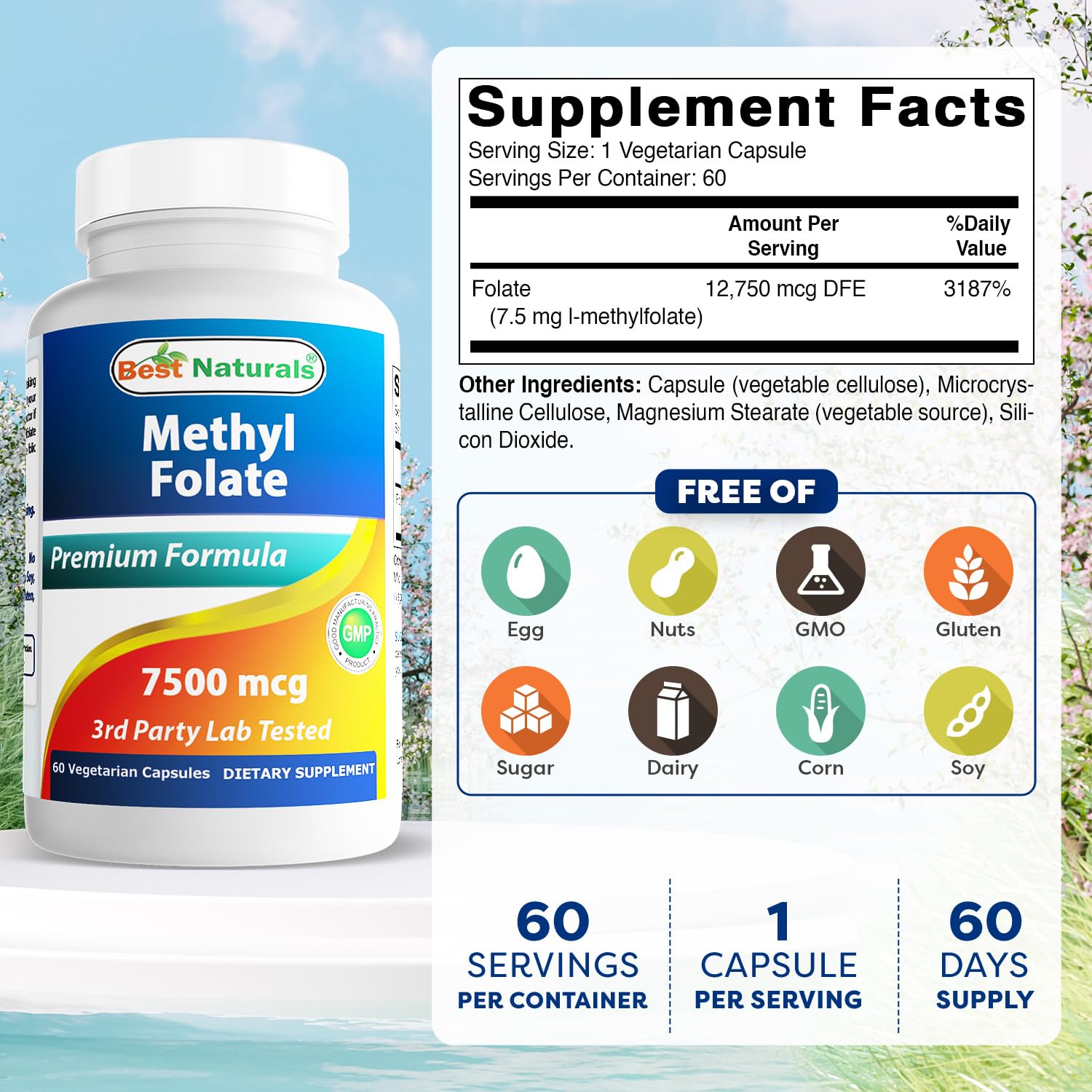 veggie capsules for folate support