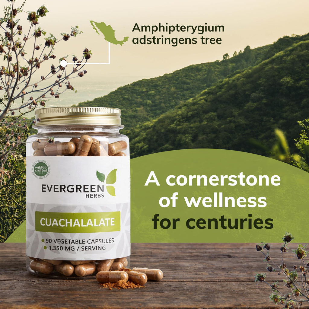veggie capsules for herbal wellness