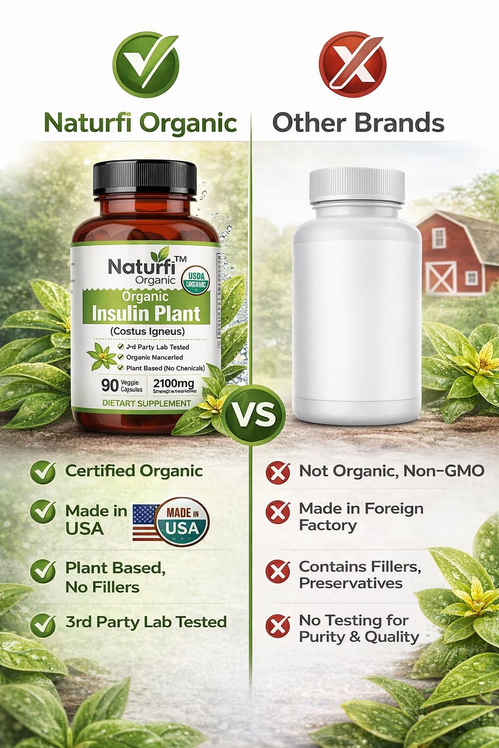 veggie capsules for holistic health support