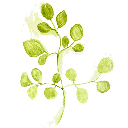 veggie capsules for overall wellness