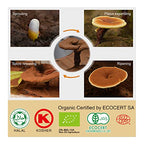 veggie capsules for wellness