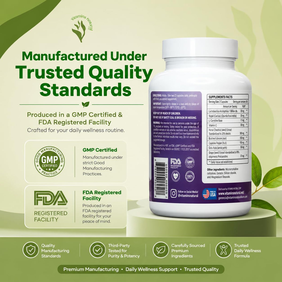 vein support supplements for wellness
