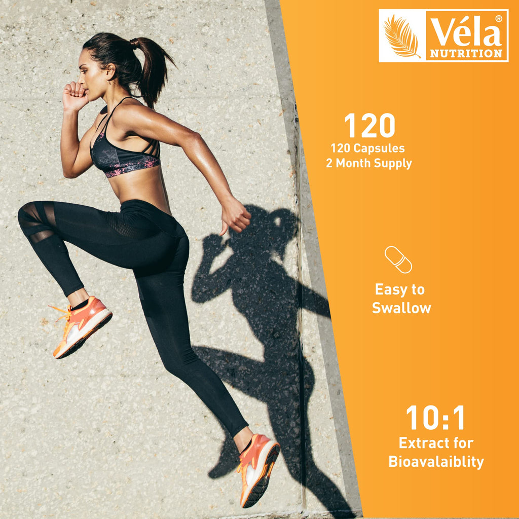 Vela’s mushrooms for holistic living