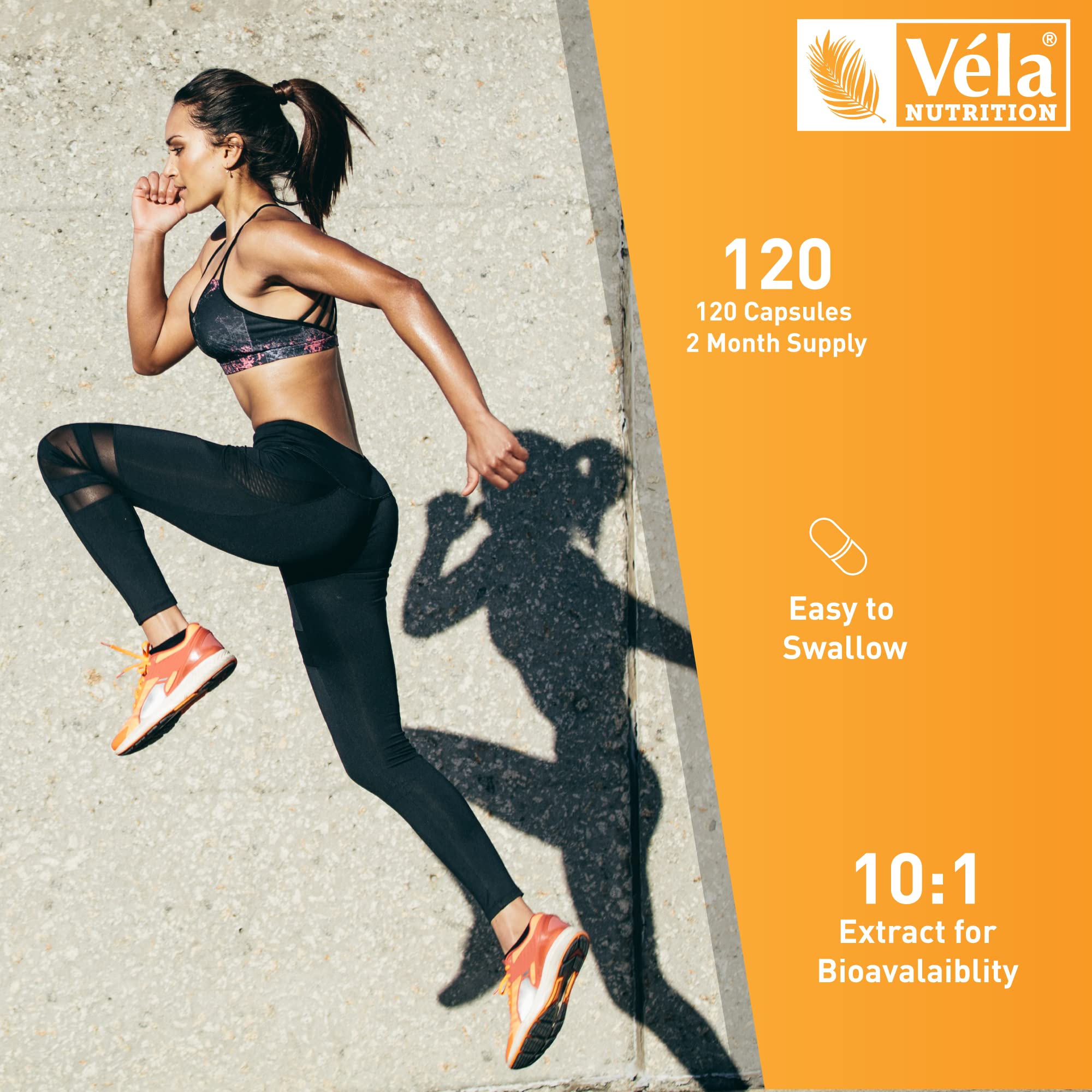 Vela’s mushrooms for holistic living