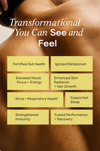 Velmira multivitamins for daily wellness