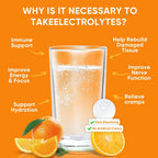 Venture Pal electrolyte powder for hydration
