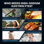 Venture Pal electrolyte tablets alternative
