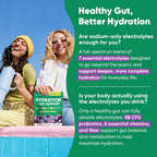 Venture Pal gut health electrolytes for recovery