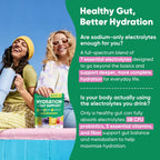 Venture Pal gut health support electrolytes
