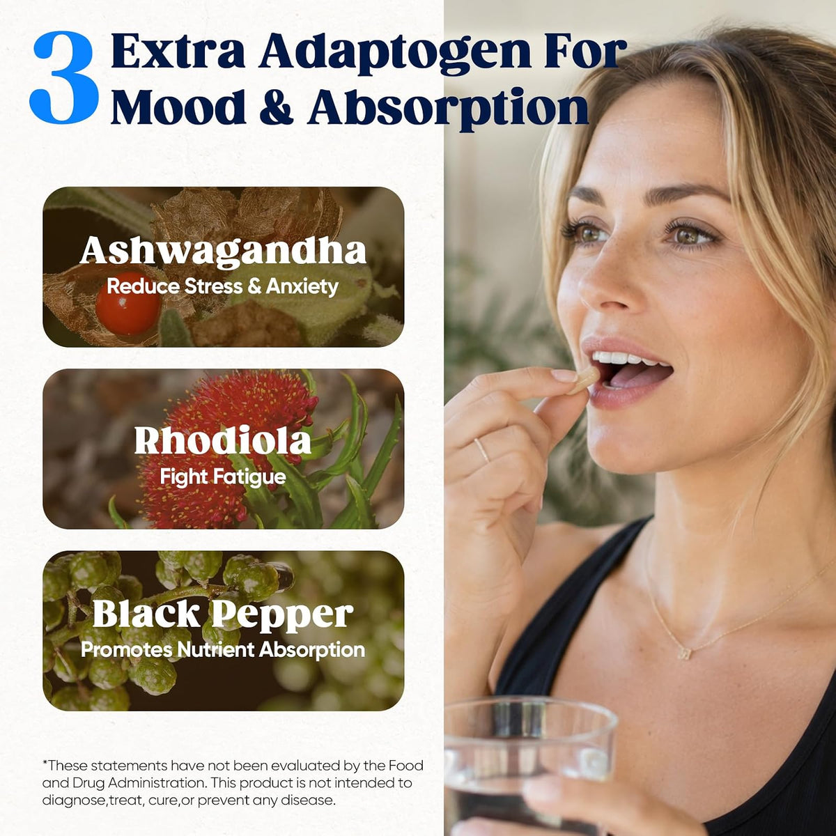 Venture Pal health-boosting mushroom blend