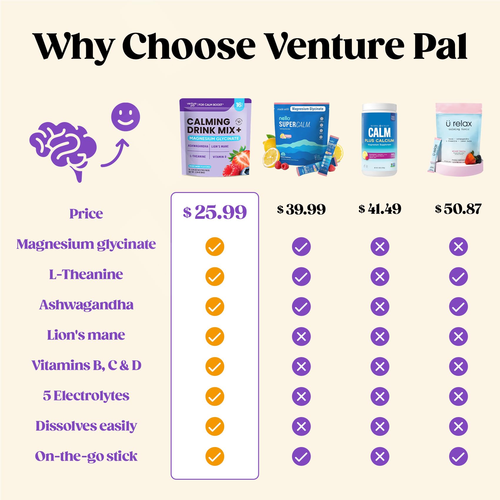 Venture Pal magnesium drink mix