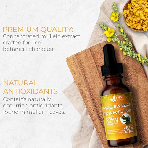 verbascum thapsus herbal extract uses