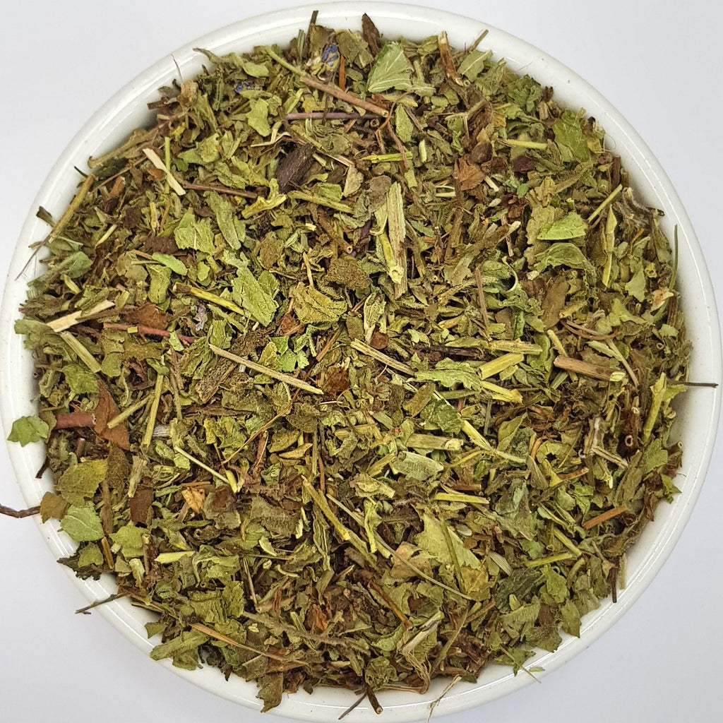 Veronica Officinalis L herbal properties