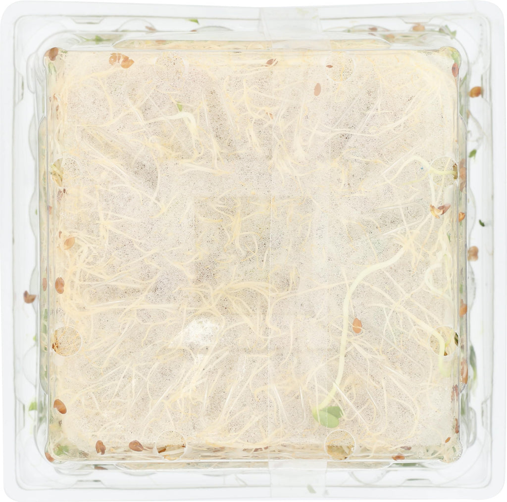 versatile alfalfa for smoothies and wraps