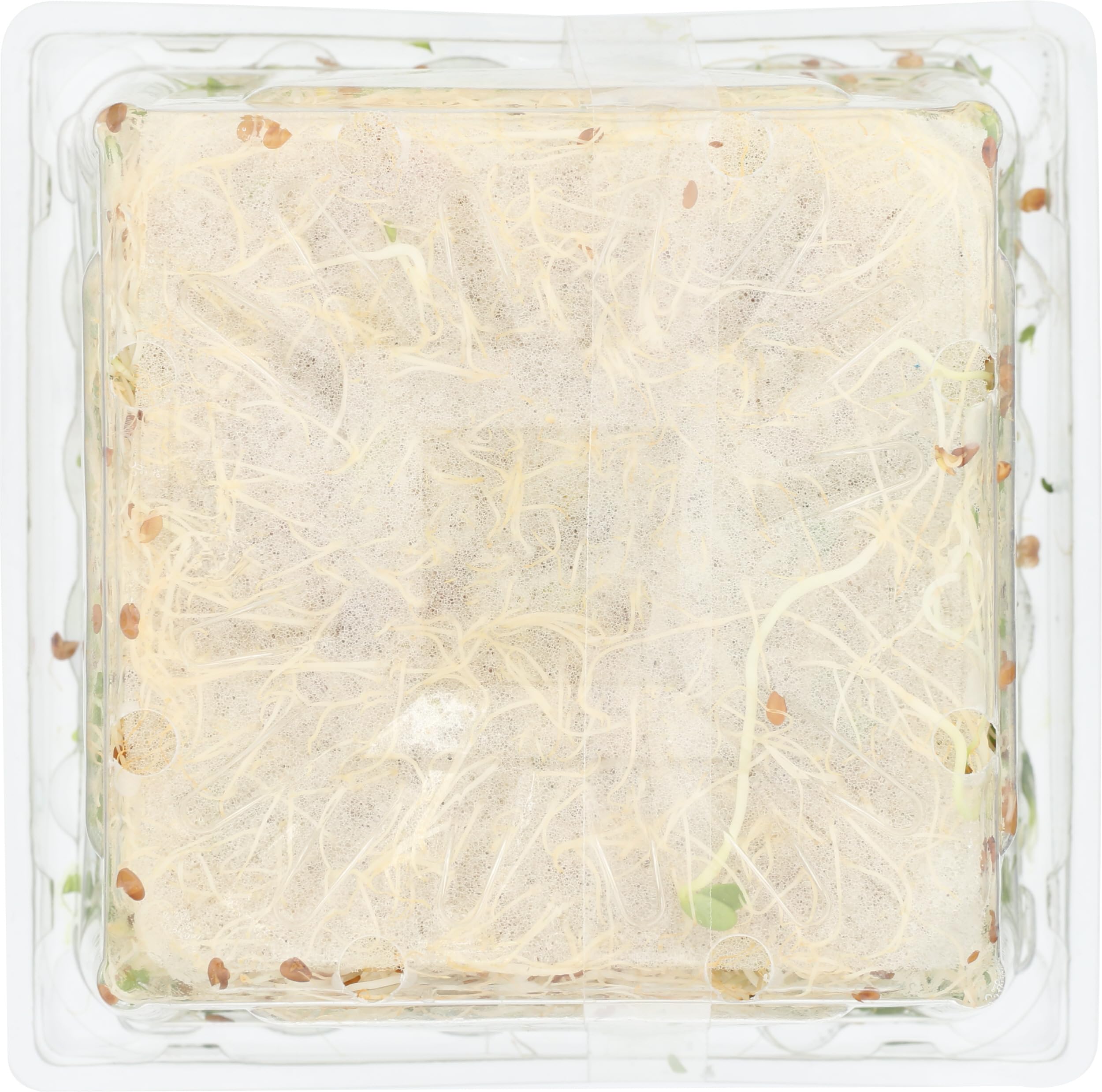 versatile alfalfa for smoothies and wraps