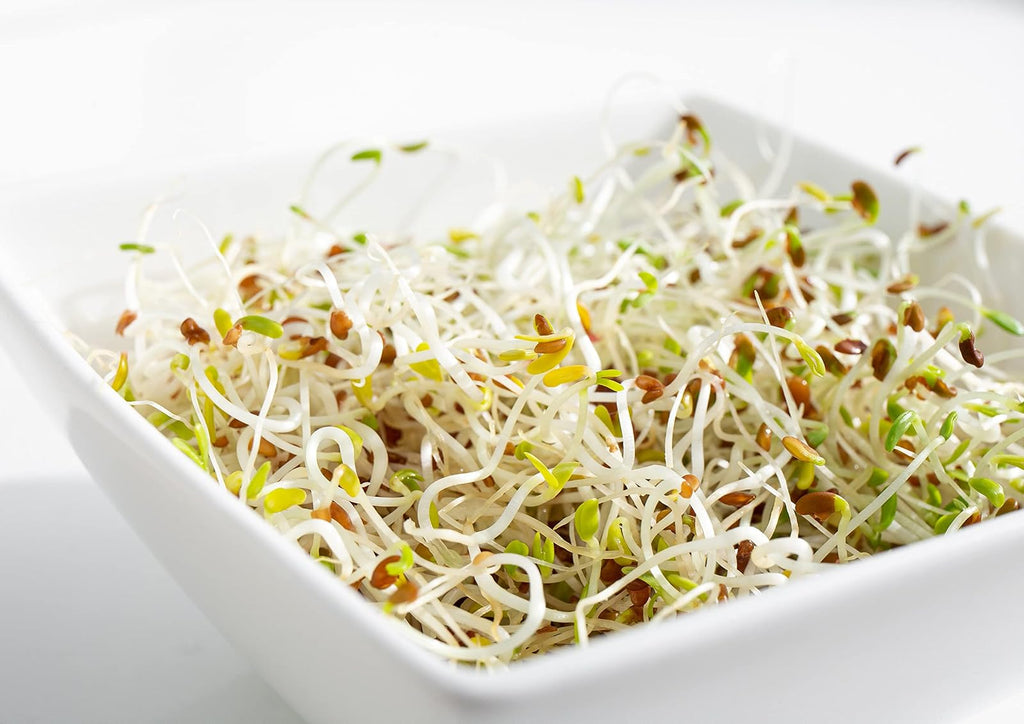 versatile alfalfa seeds for health