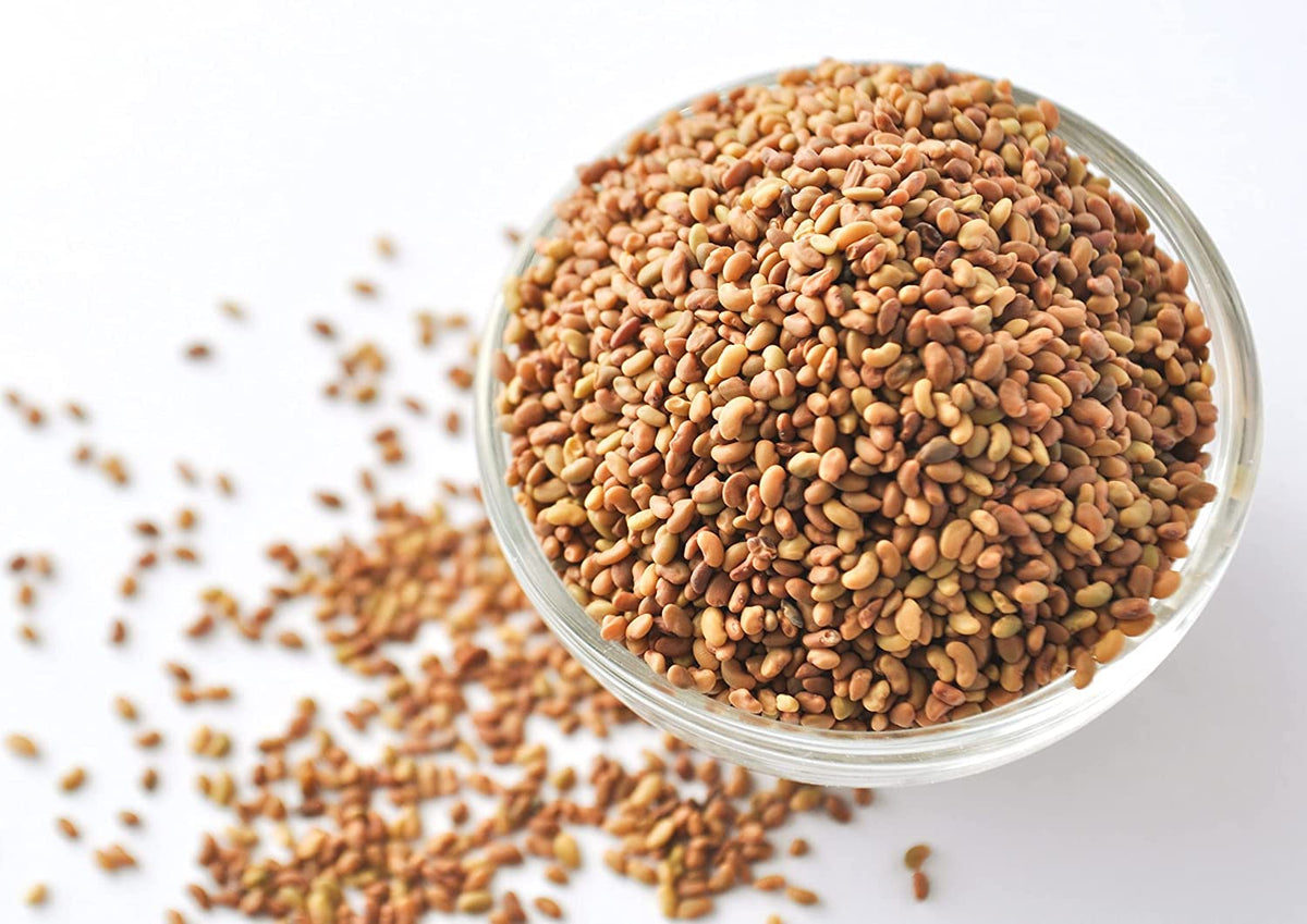 versatile alfalfa seeds for home gardening
