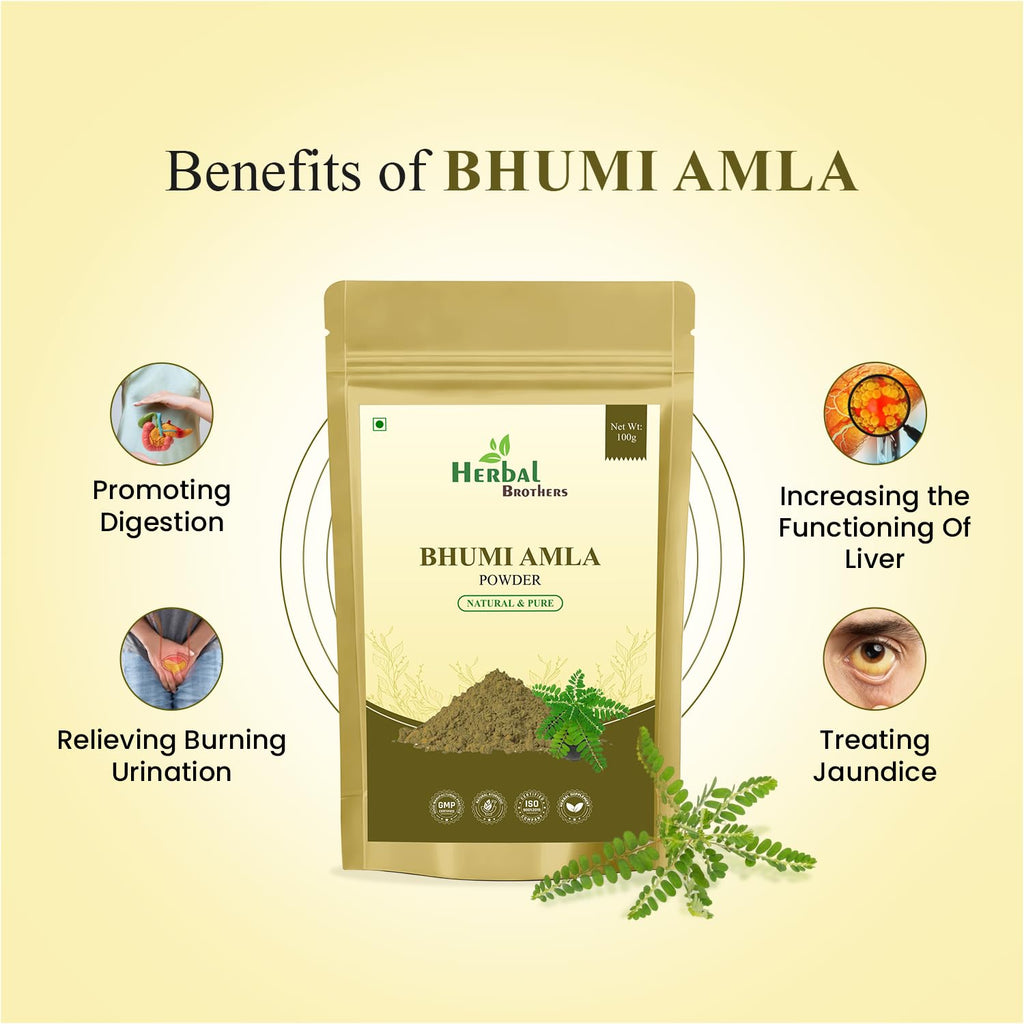 versatile Amla powder for smoothies