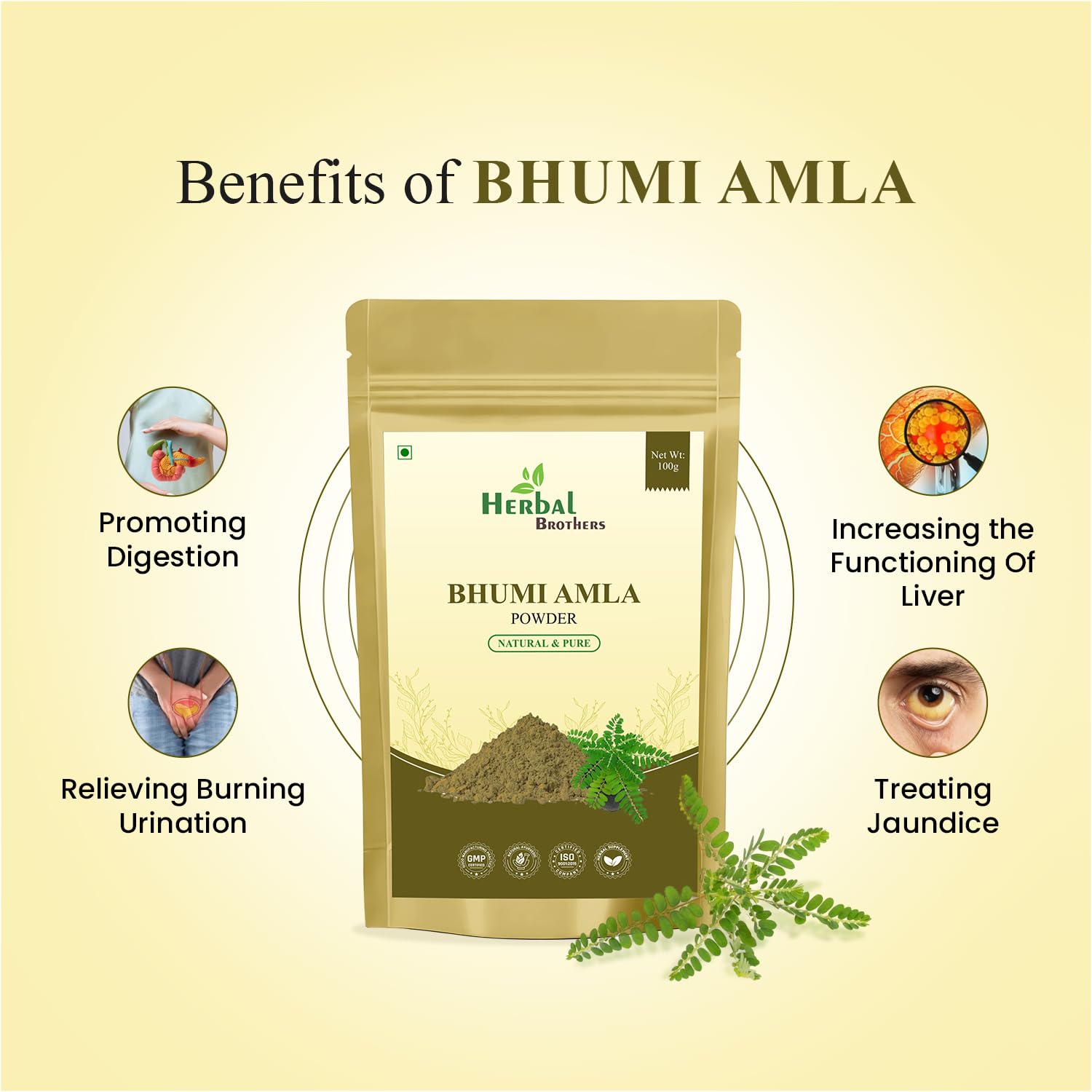 versatile Amla powder for smoothies