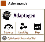 versatile ashwagandha for smoothies and baking
