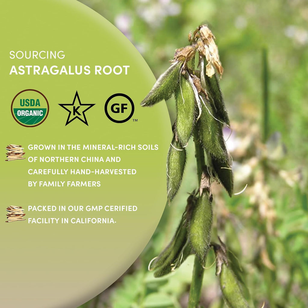 versatile astragalus for herbal remedies