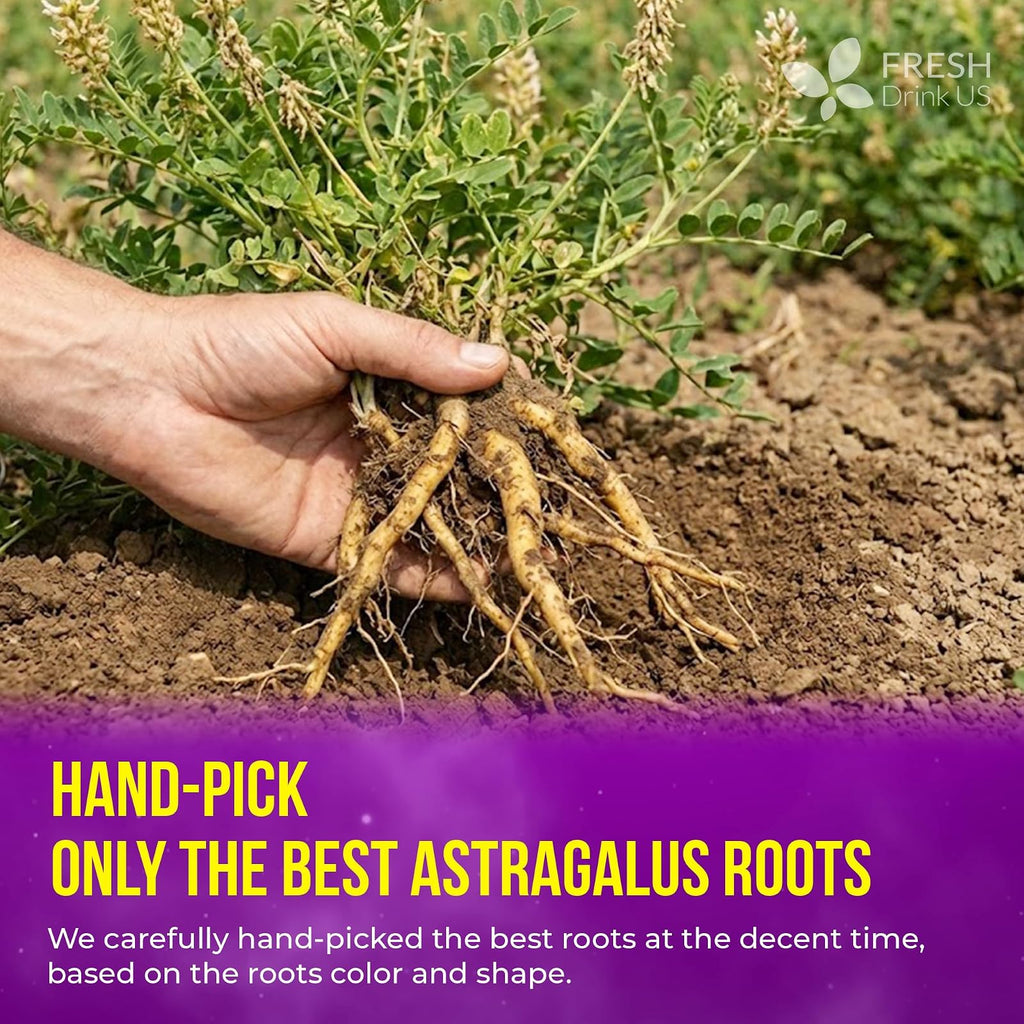 versatile astragalus root for cooking