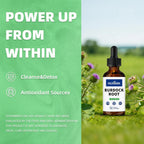 versatile burdock root extract for cooking