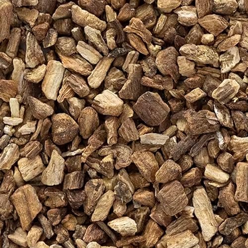 versatile burdock root for herbal recipes