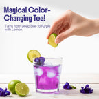 versatile butterfly pea flower tea