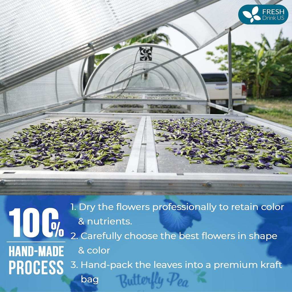 versatile butterfly pea tea ingredient