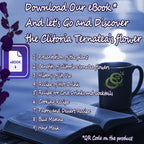 versatile butterfly pea tea recipes