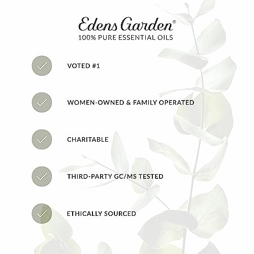 versatile cannabis oil for everyday use