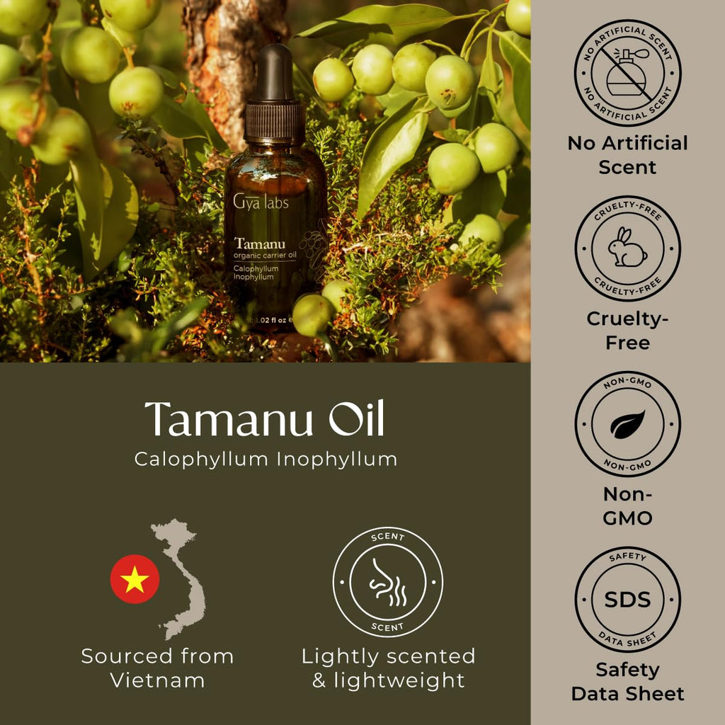 versatile carrier oil for aromatherapy