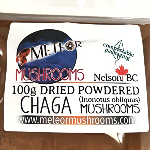versatile chaga mushroom cooking ingredient