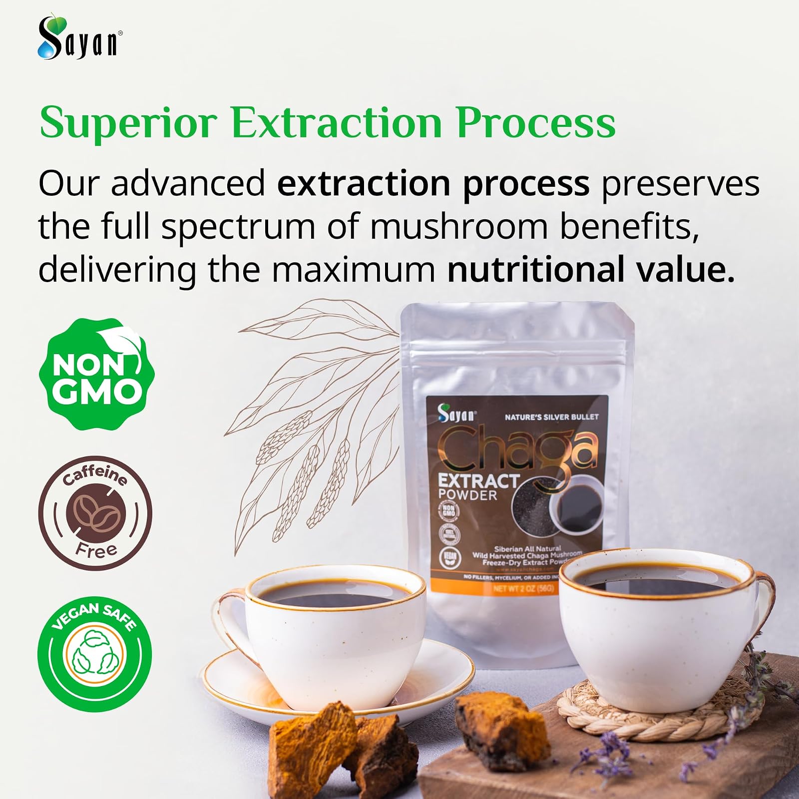 Versatile chaga mushroom powder