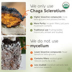versatile chaga powder for baking