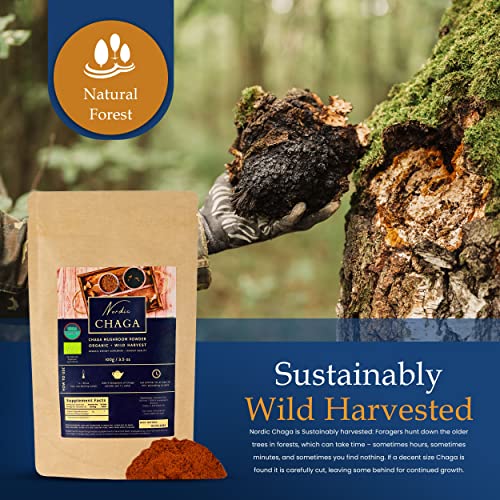 versatile chaga powder for cooking