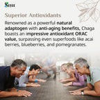 versatile chaga powder for recipes