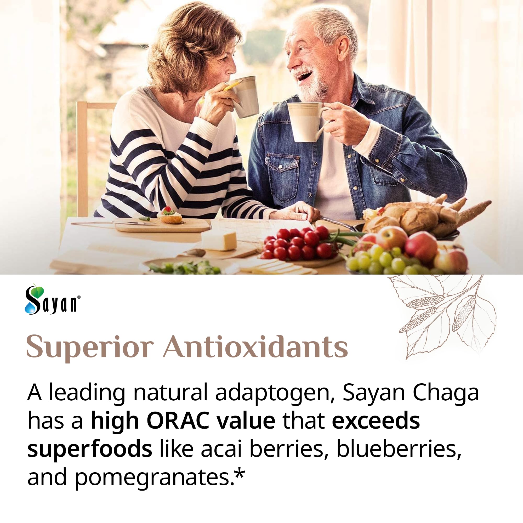 versatile chaga powder for recipes