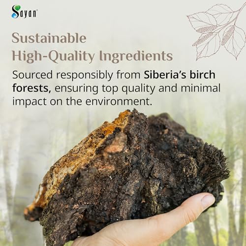 Versatile chaga powder for recipes